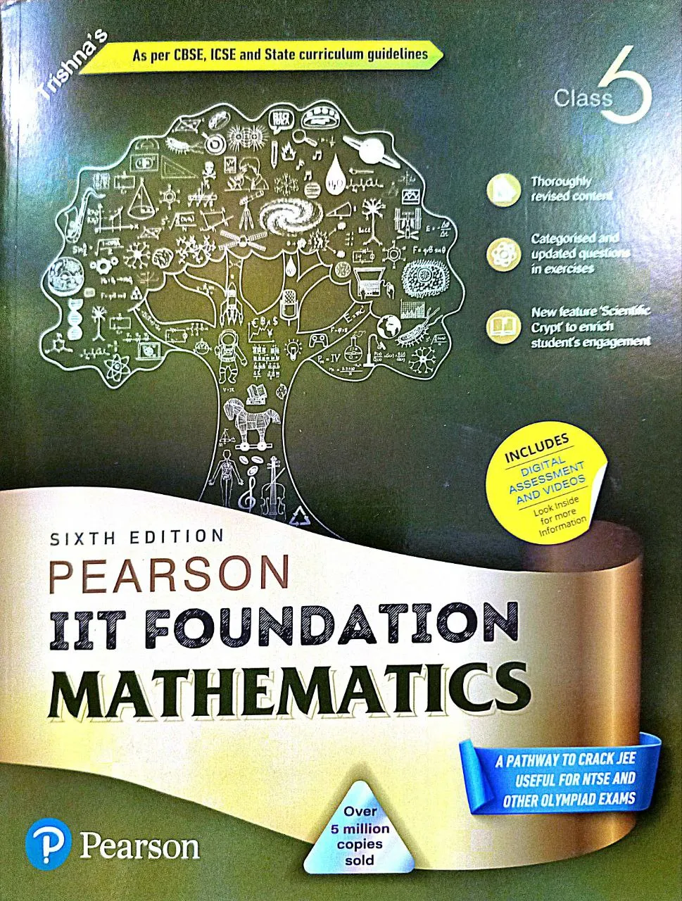Pearson Iit Foundation Mathematics Class 6 | 2024