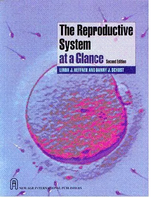 The Reproductive System at a Glance